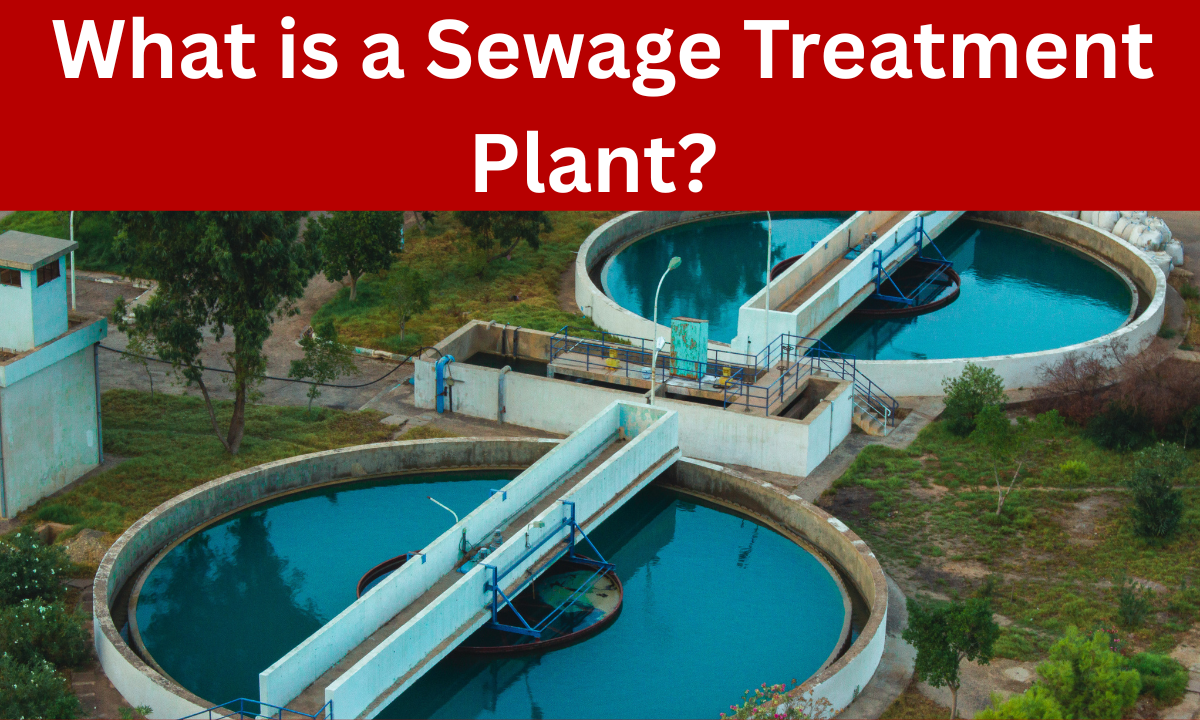What is a Sewage Treatment Plant? Understanding STP Basics
